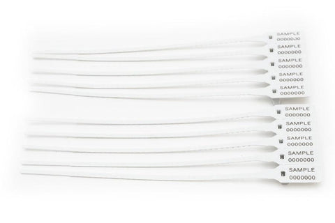 Security Bags & Seals